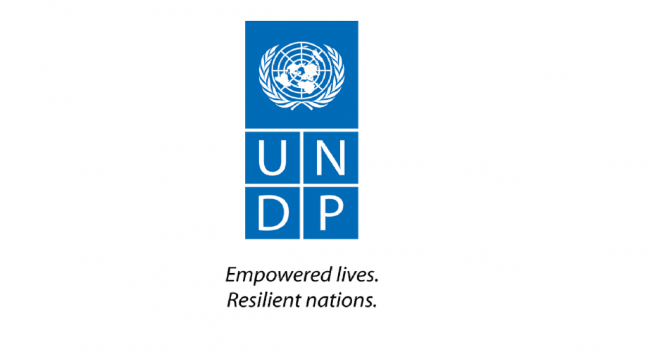 United Nations Development Programme (UNDP): Economics Internship 2020 ...