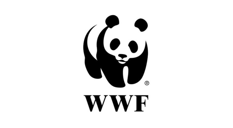 WWF South Africa: Graduate Internships 2022 / 2023 - StudentRoom.co.za