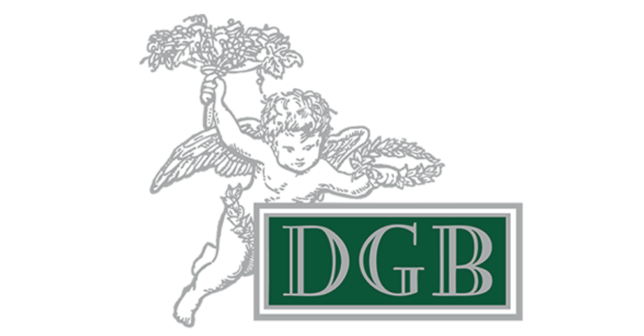 DGB: Internships 2023 - StudentRoom.co.za