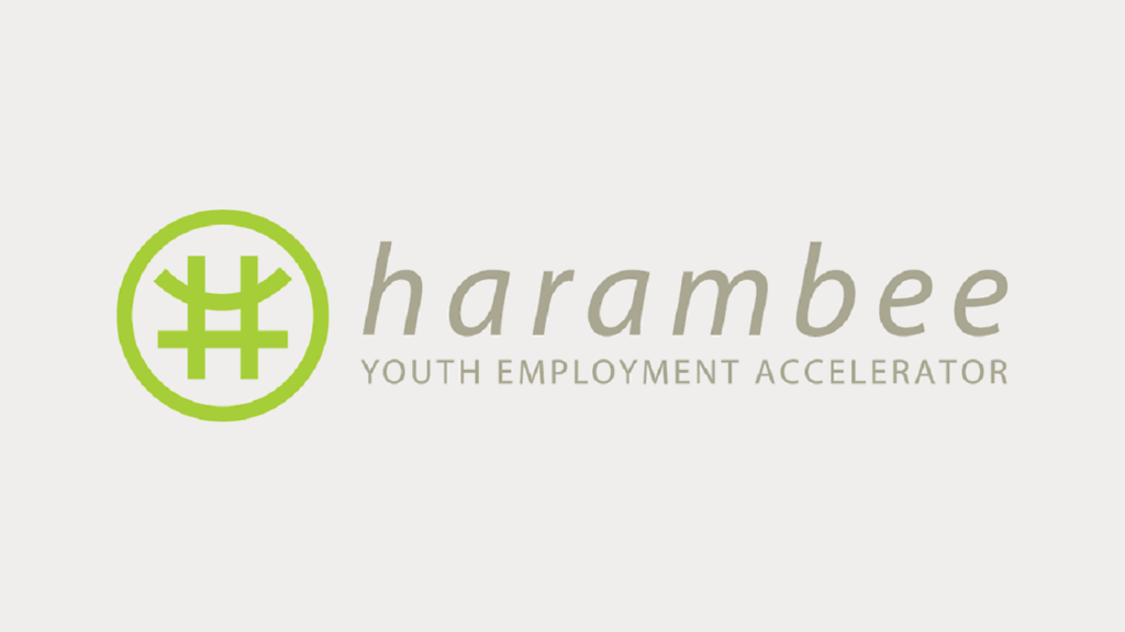 Harambee SA Youth: Contact Centre Learnerships 2023 - StudentRoom.co.za