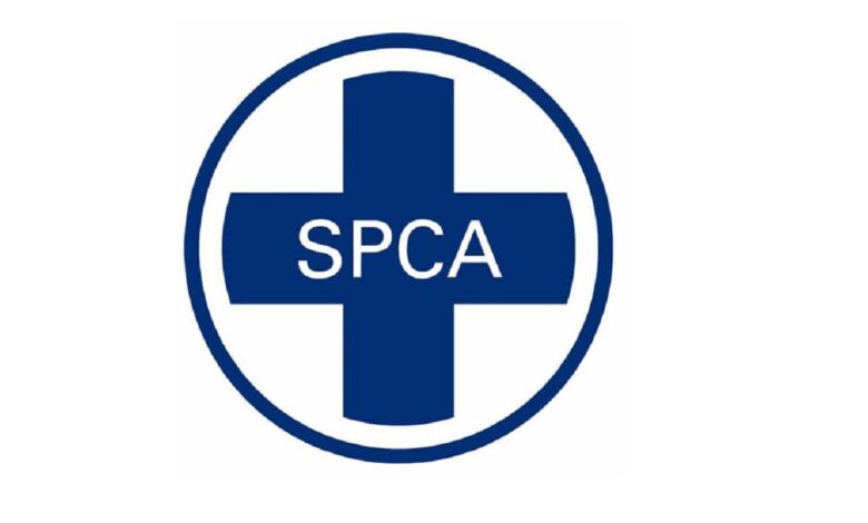 SPCA: Inspector Traineeships 2024 - StudentRoom.co.za
