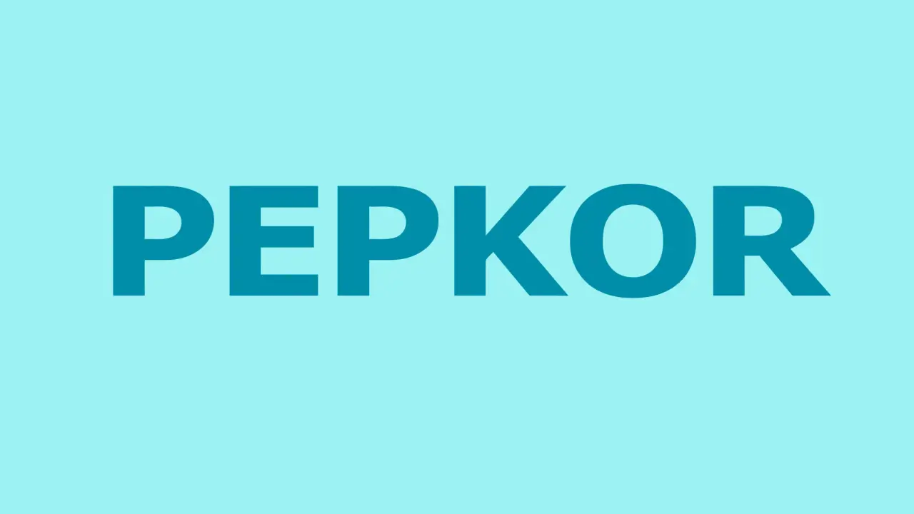 Pepkor: Digital Media Graduate Internships 2025 - StudentRoom.co.za