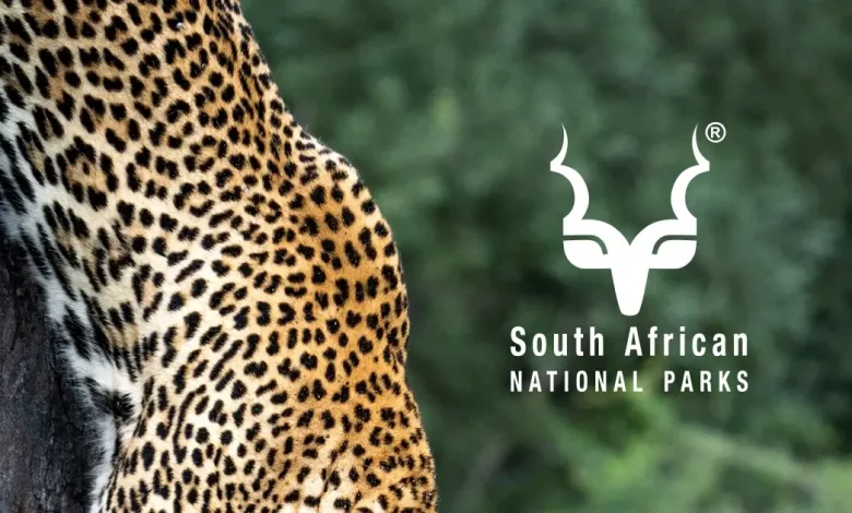 South African National Parks (SANParks) AFD Internships 2024 / 2025 ...